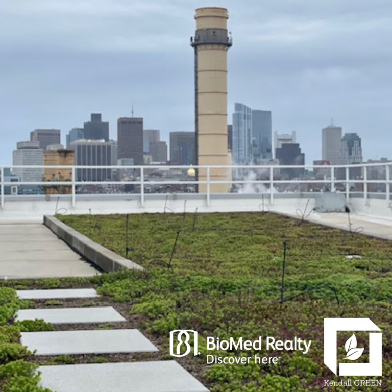 A View from 500 Kendall | Kendall Square